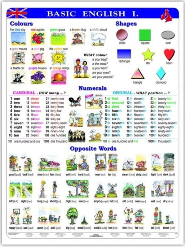 Basic English I - Język angielski plansze - Szkoła Marzeń